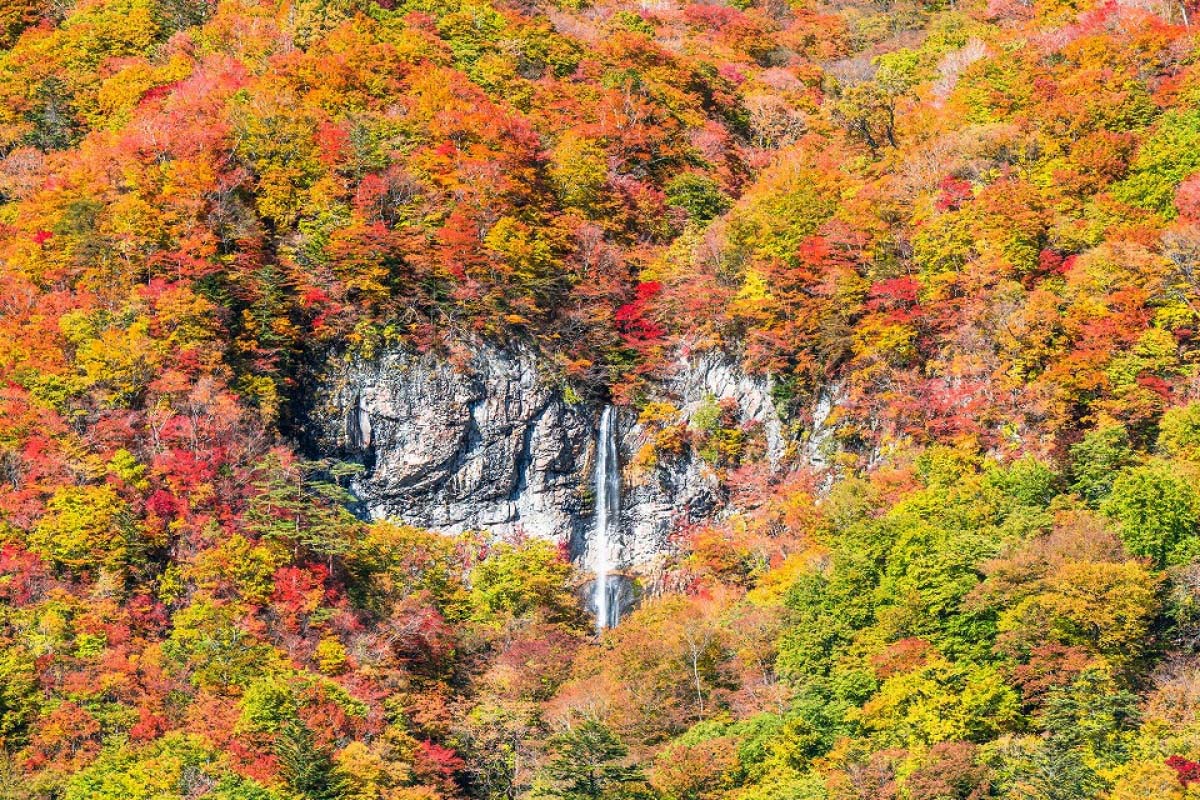Karadaki Waterfall (Heart Rock Waterfall) | ZEKKEI Japan