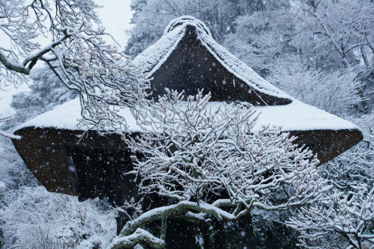Tokeiji Temple | ZEKKEI Japan
