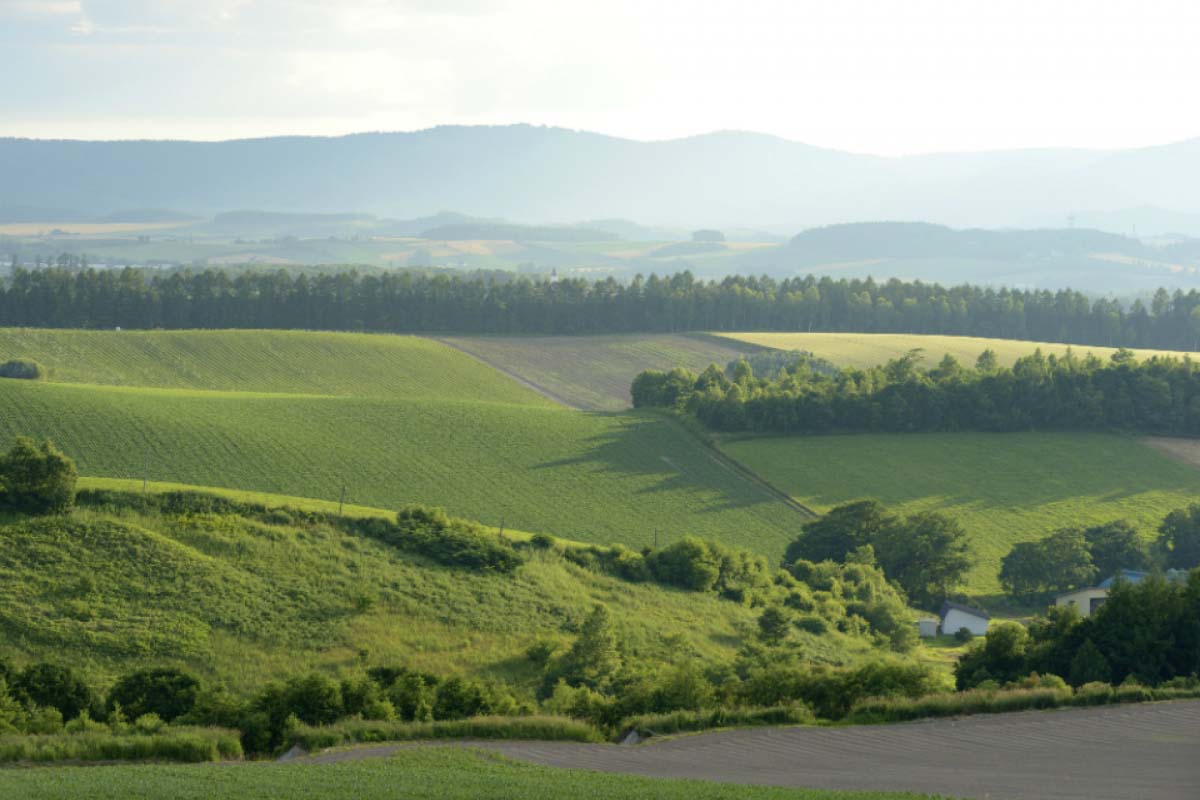Patchwork Road | ZEKKEI Japan
