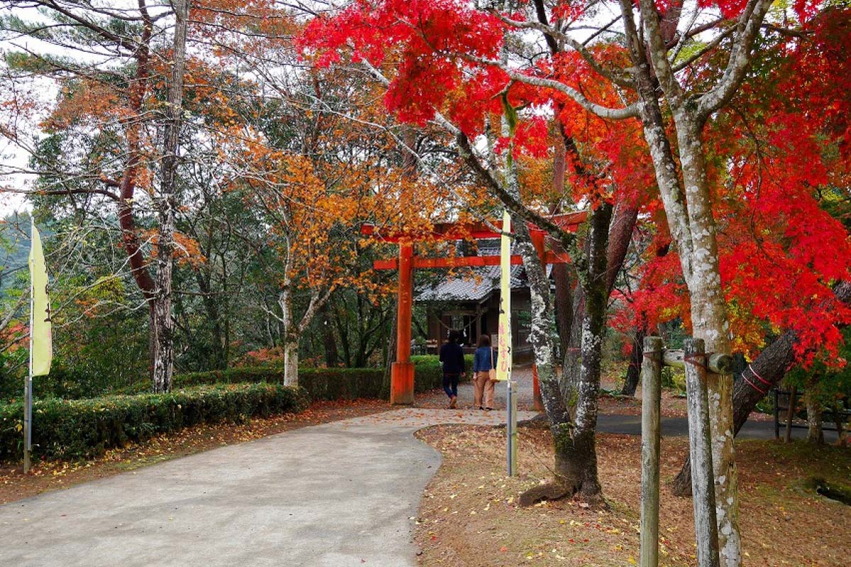 Sogi-no-taki Park (Sogi Falls Park) | ZEKKEI Japan