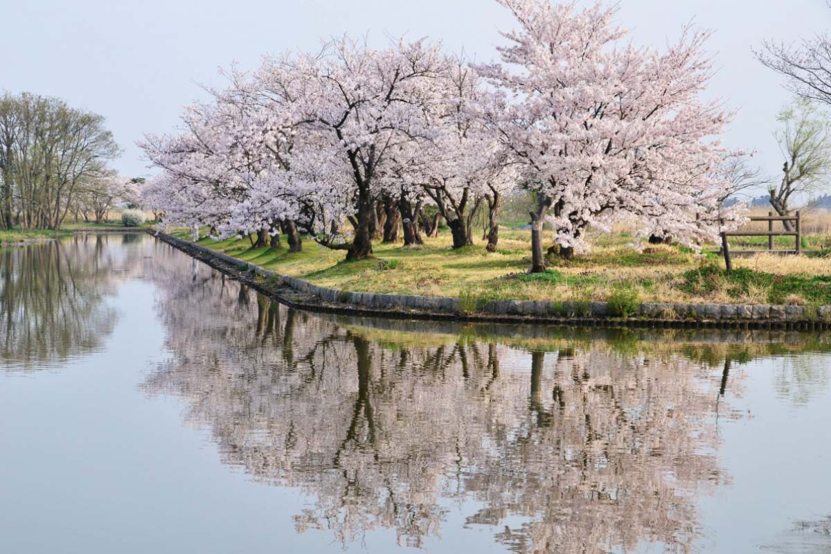 Lake Hyoko | ZEKKEI Japan