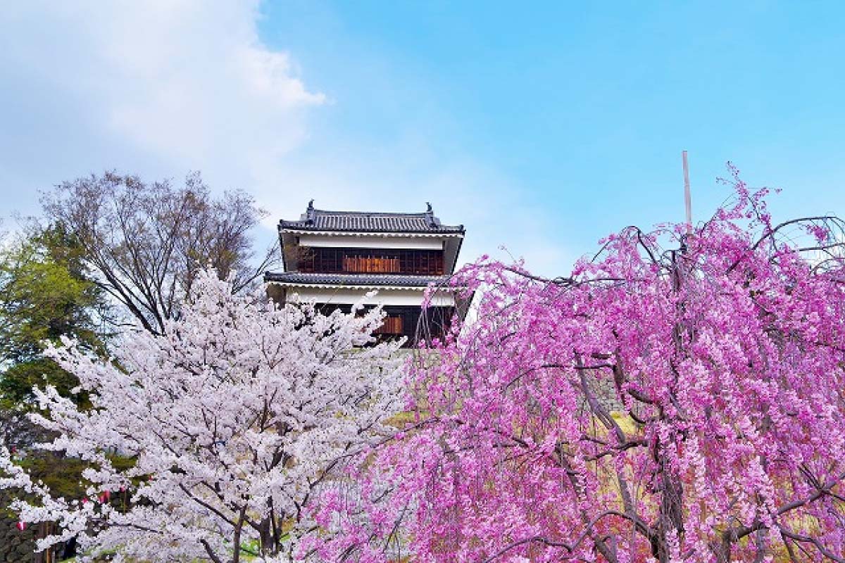 The Ruins of the Ueda Castle Park | ZEKKEI Japan