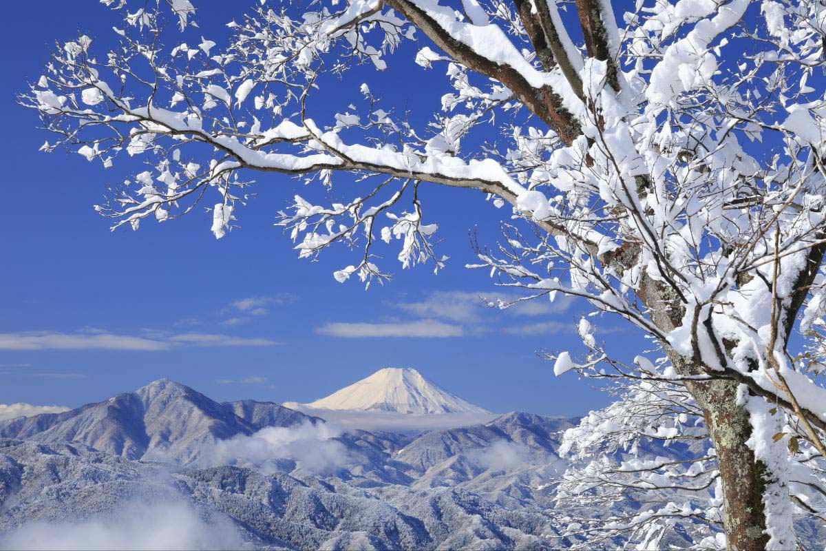 Mt. Takao | ZEKKEI Japan