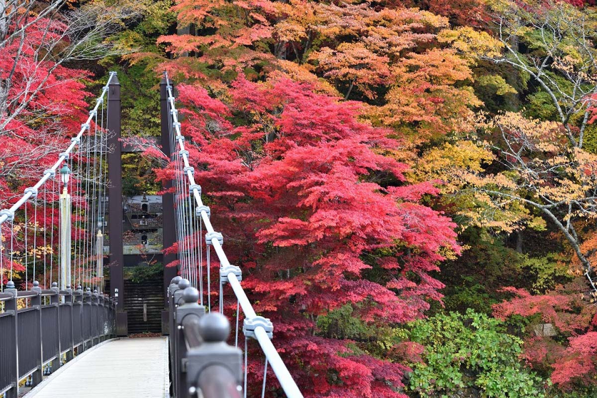Kurenai no Tsuribashi Suspension Bridge, Nasu-Shiobara | ZEKKEI Japan