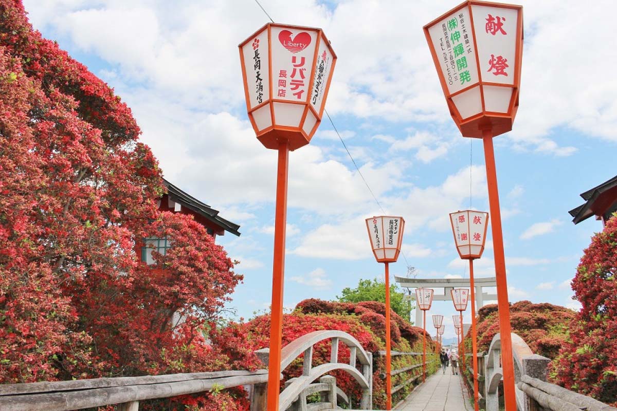 Nagaoka Tenmangu Shrine | ZEKKEI Japan
