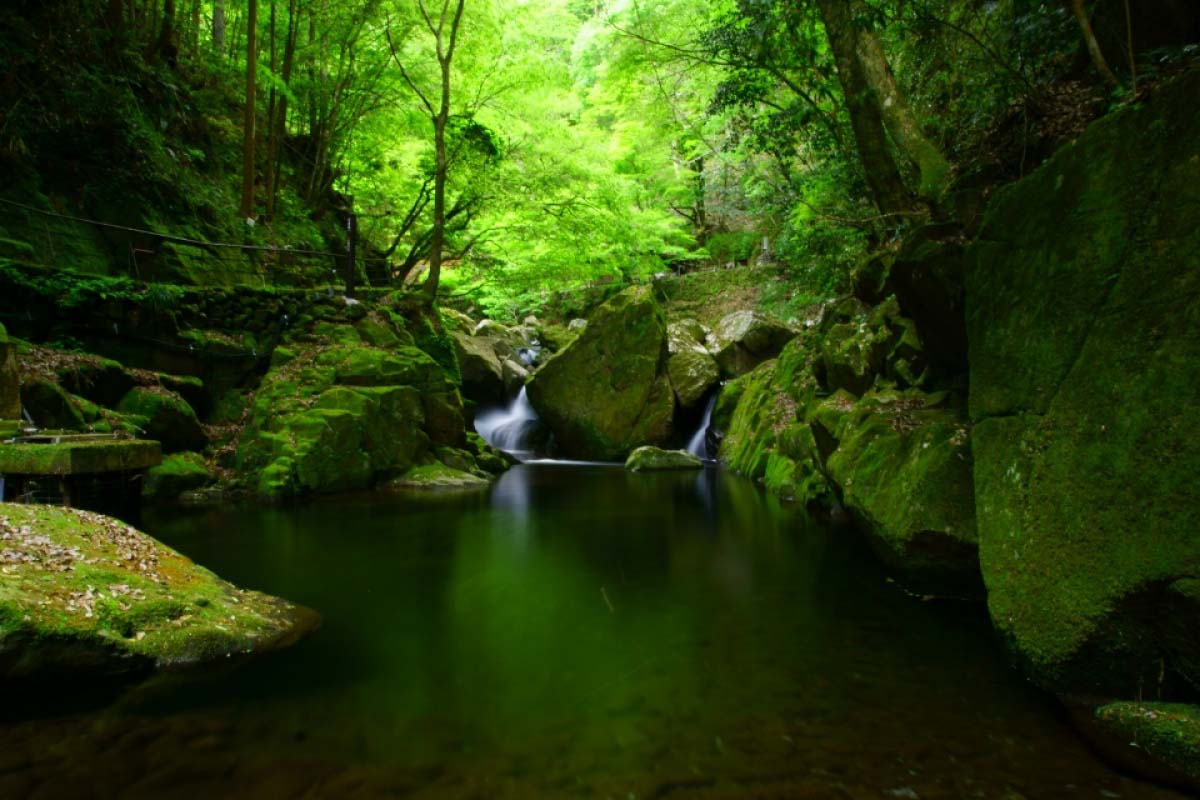 Akame 48 Waterfalls | ZEKKEI Japan
