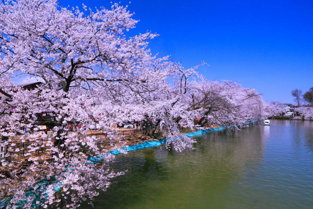 Garyu Park | ZEKKEI Japan