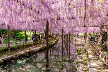 Yoro Park | ZEKKEI Japan