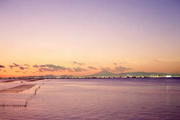 Sodegaura Ocean Park