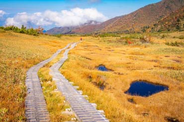 Hannoki Falls | ZEKKEI Japan
