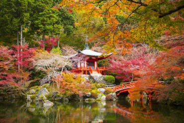 Map of Spots Around Meotogi Shrine Himenomiya | ZEKKEI Japan