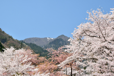 Map of Spots Around Nago Central Park | ZEKKEI Japan