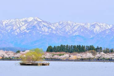 Scenic Spots for Niigata | ZEKKEI Japan(1/3)