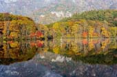 Togakushi-kogen Highlands and Lake Kagami(Mirror Pond) | ZEKKEI Japan