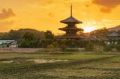 Hokki-ji Temple | ZEKKEI Japan